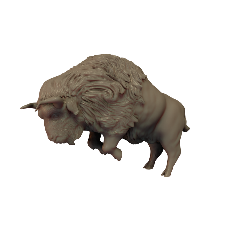 American Bison Pose 1 – Disain Studio