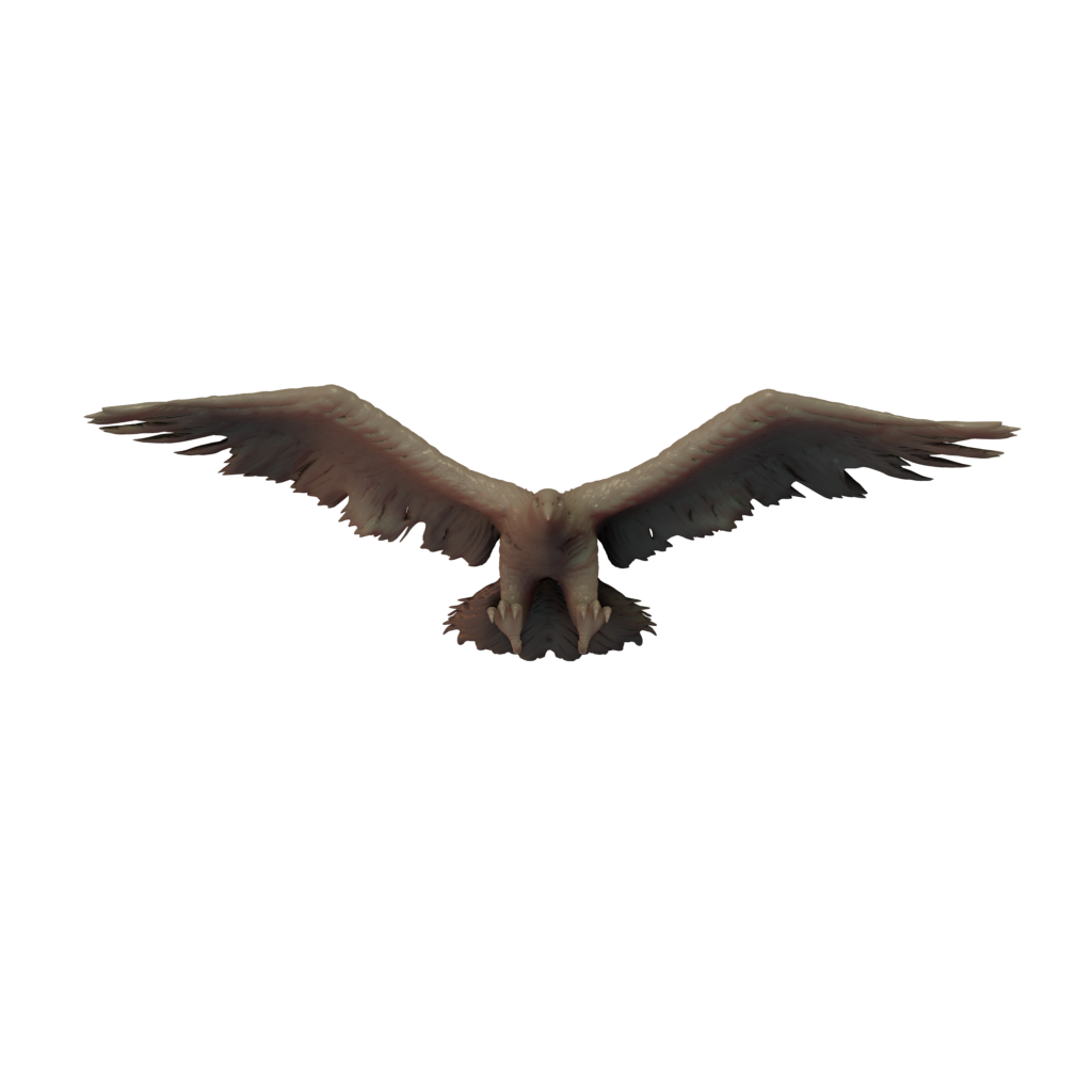 Giant Zombie Raven Flying – Disain Studio