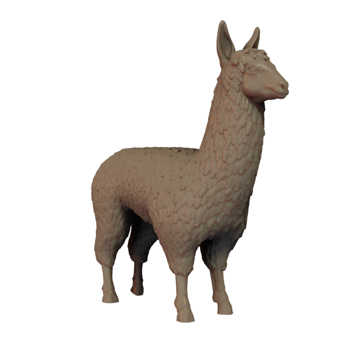 Llama Pose 1 – Disain Studio