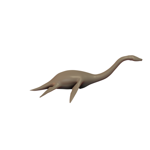 Plesiosaurus Pose 1 – Disain Studio