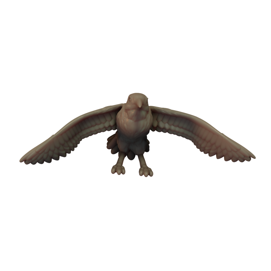 Prehistoric Beasts – Disain Studio