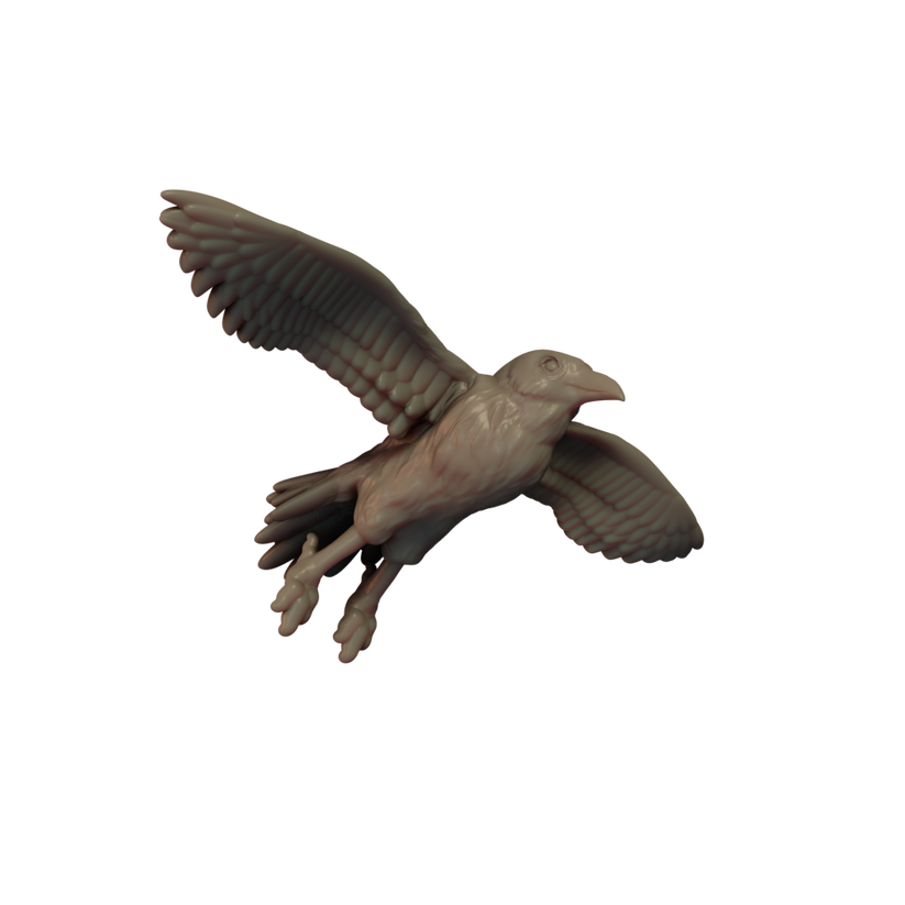 Raven Pose 2 – Disain Studio