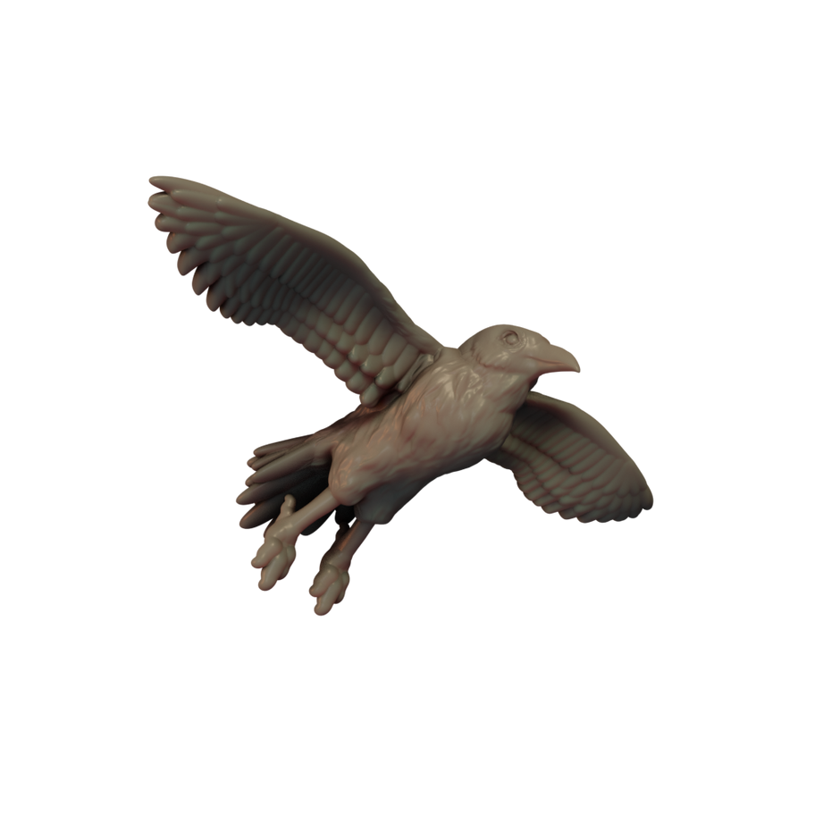 Animals – Disain Studio